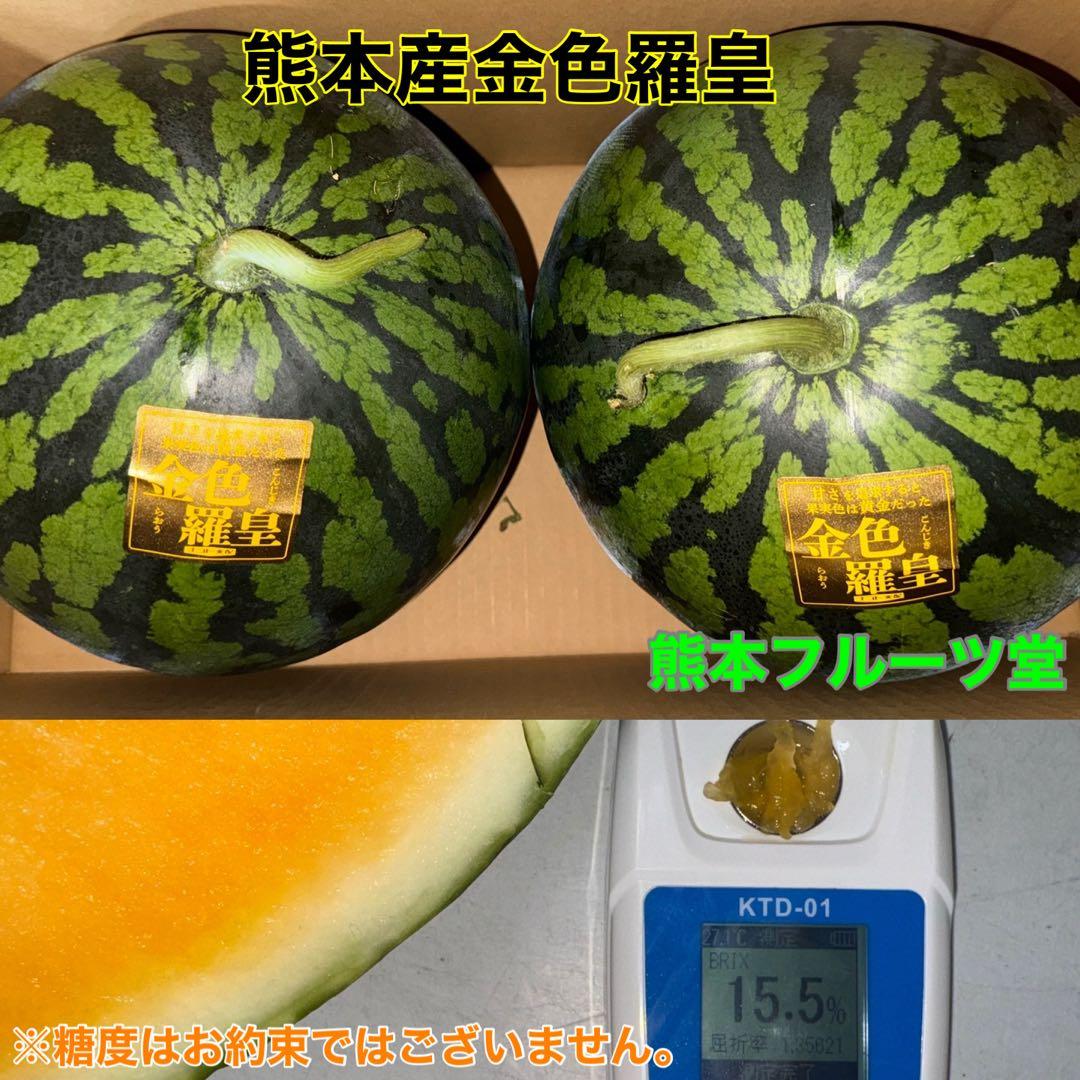 劇的に美味い！熊本産【金色羅皇】秀品3L2玉セット（17〜19k箱込）かめまる堂
