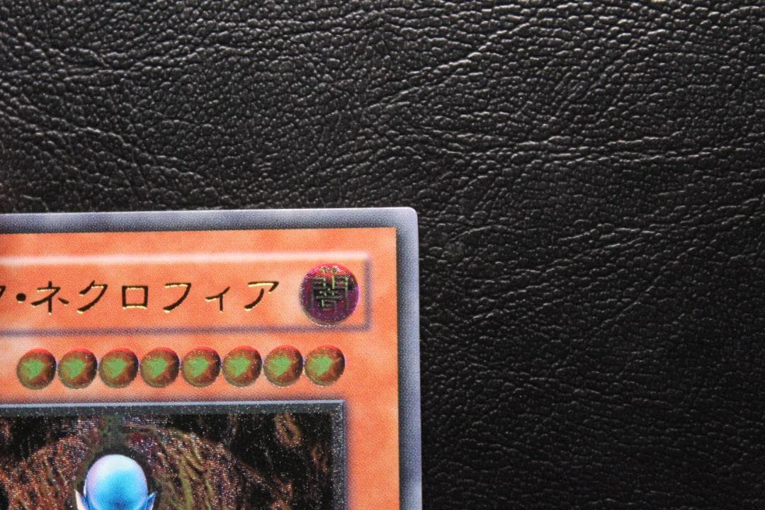 【遊戯王】LN-14 ダーク・ネクロフィア レリーフレア