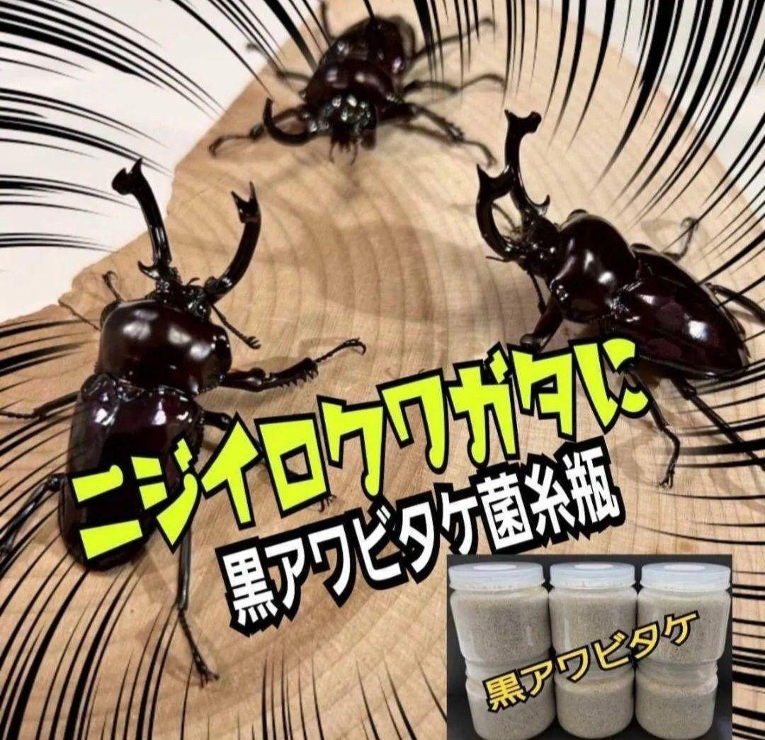 ９本セット！ニジイロクワガタに抜群！黒アワビタケ菌糸瓶　トレハロース、キトサン入
