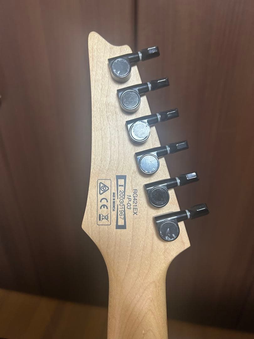 ギター ibanez RG421EX BKF