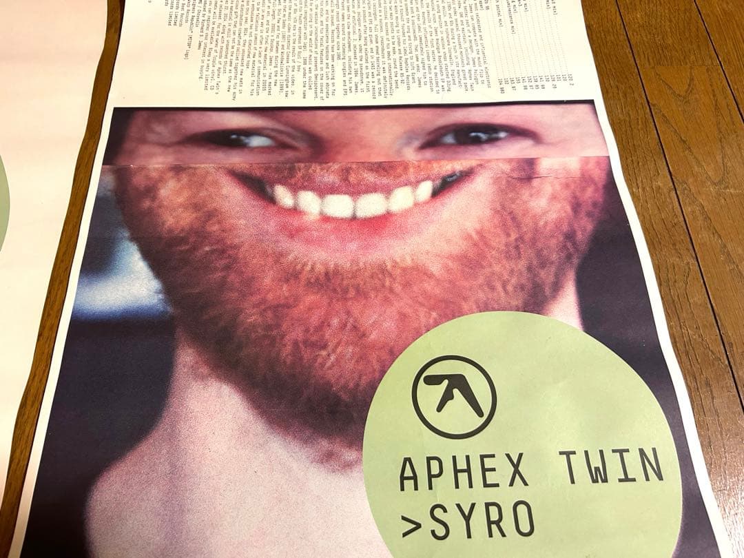 【レア】APHEX TWIN SYRO 60cm×43cm 2枚セット