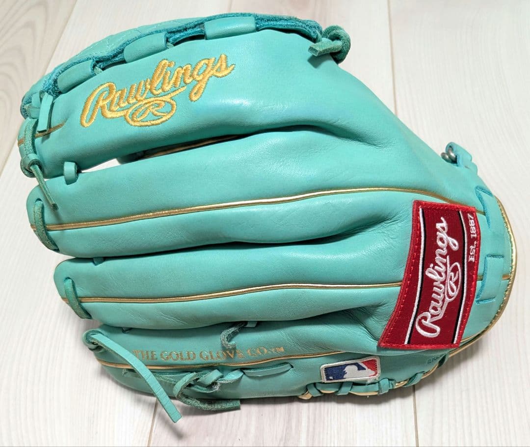 Rawlings　軟式一般用グローブ　別注