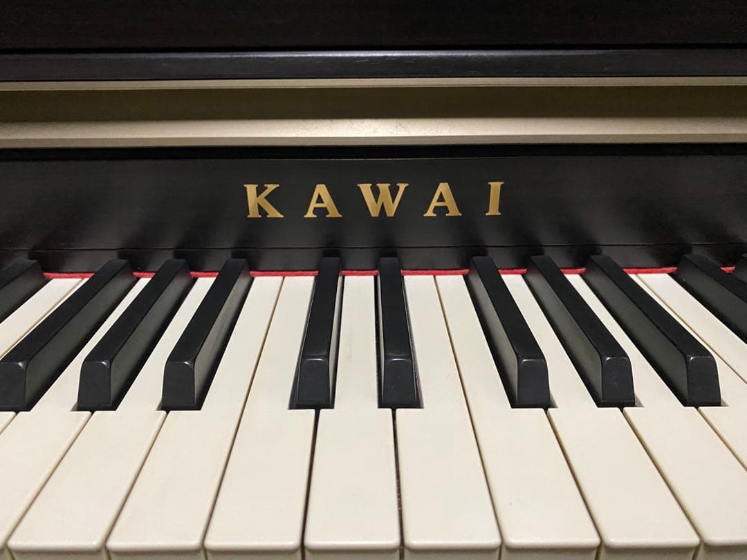 KAWAI 本格的！迫力の音色 木製鍵盤！CA9500GP / CA9500