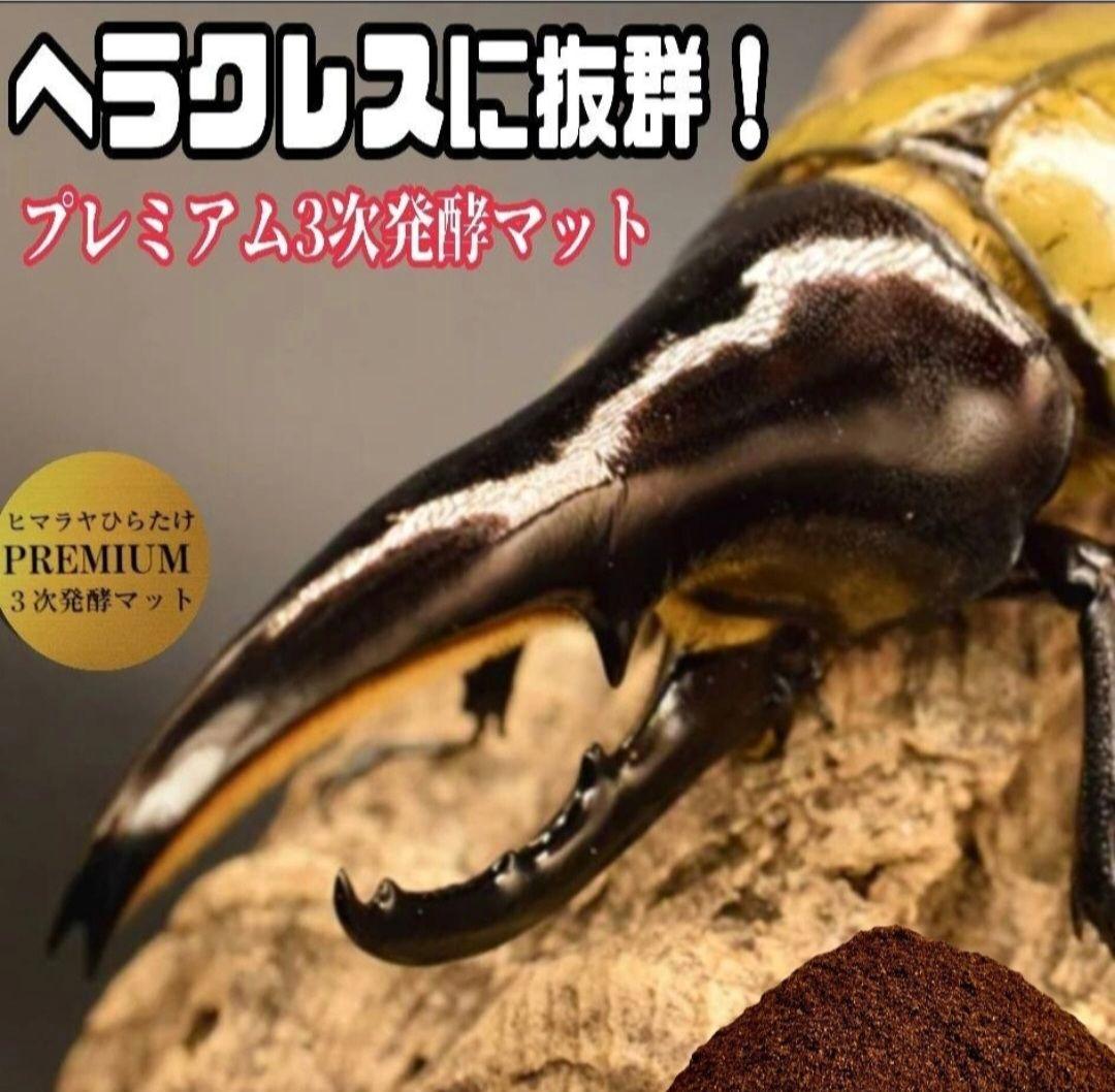 【２セット】カブトムシ幼虫を入れるだけ！プレミアム発酵マット入り㍑ボックス