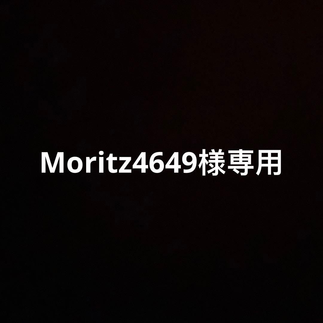 Moritz4649ページ