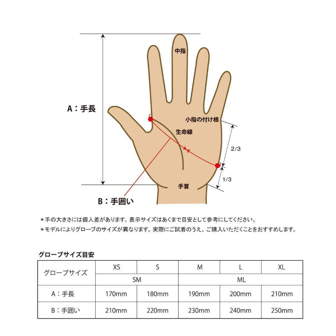 【新品】25-26 eb's CARVING MITT GORE-TEX L