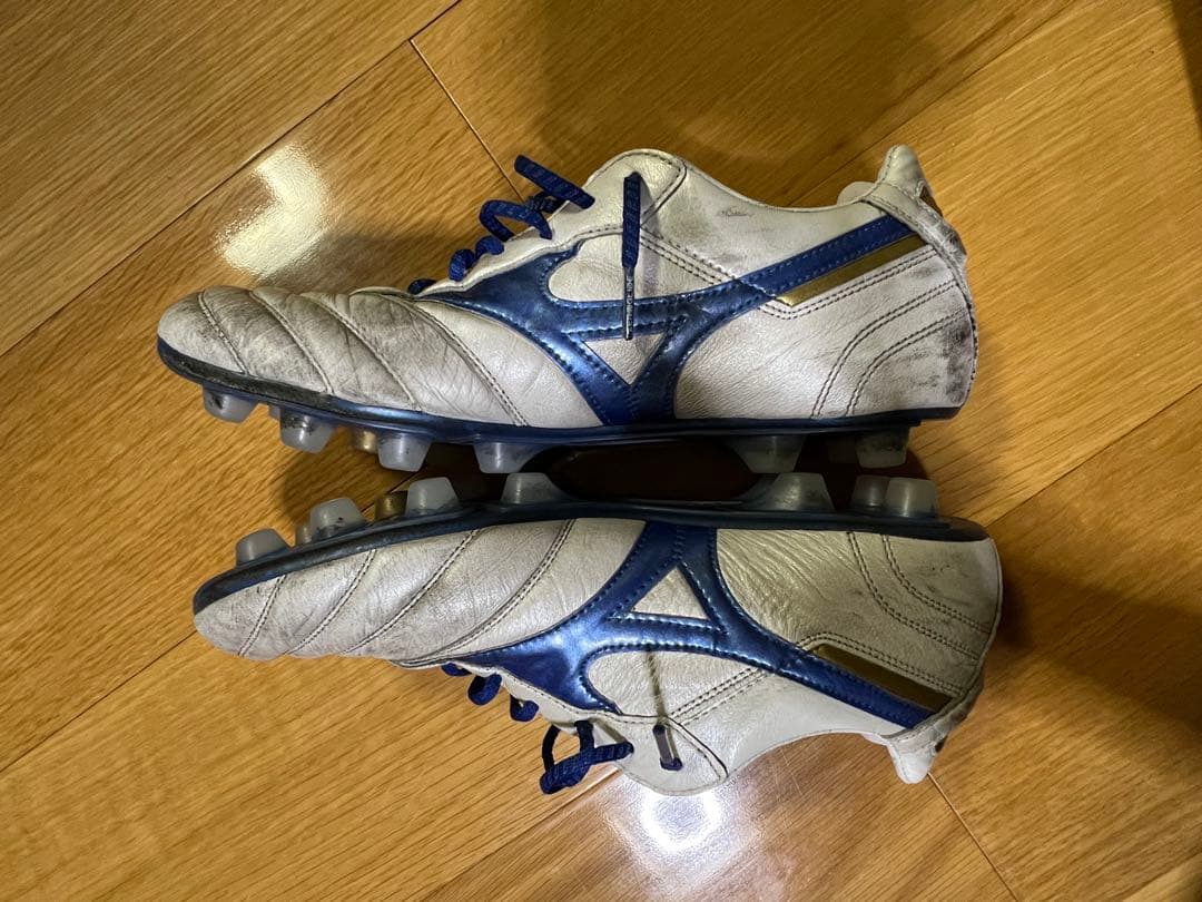 X*様 Mizuno Morelia