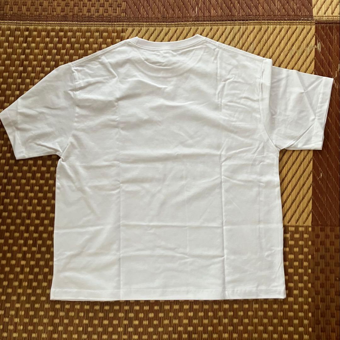 電気グルーヴ スチャダラパー　TシャツSサイズ　チャンピオンカーニバル