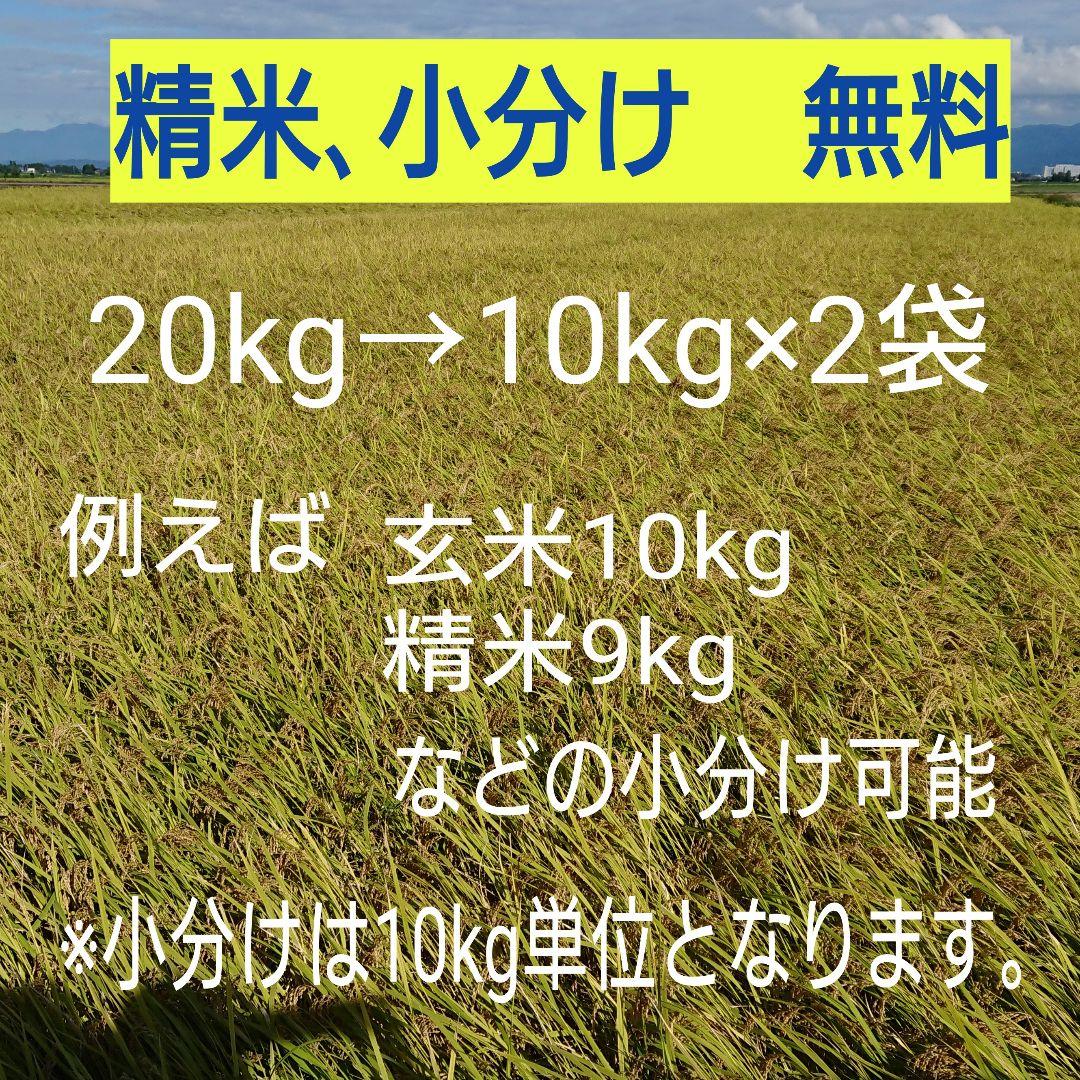 農家直送！新潟米ゆきの精　玄米20kg