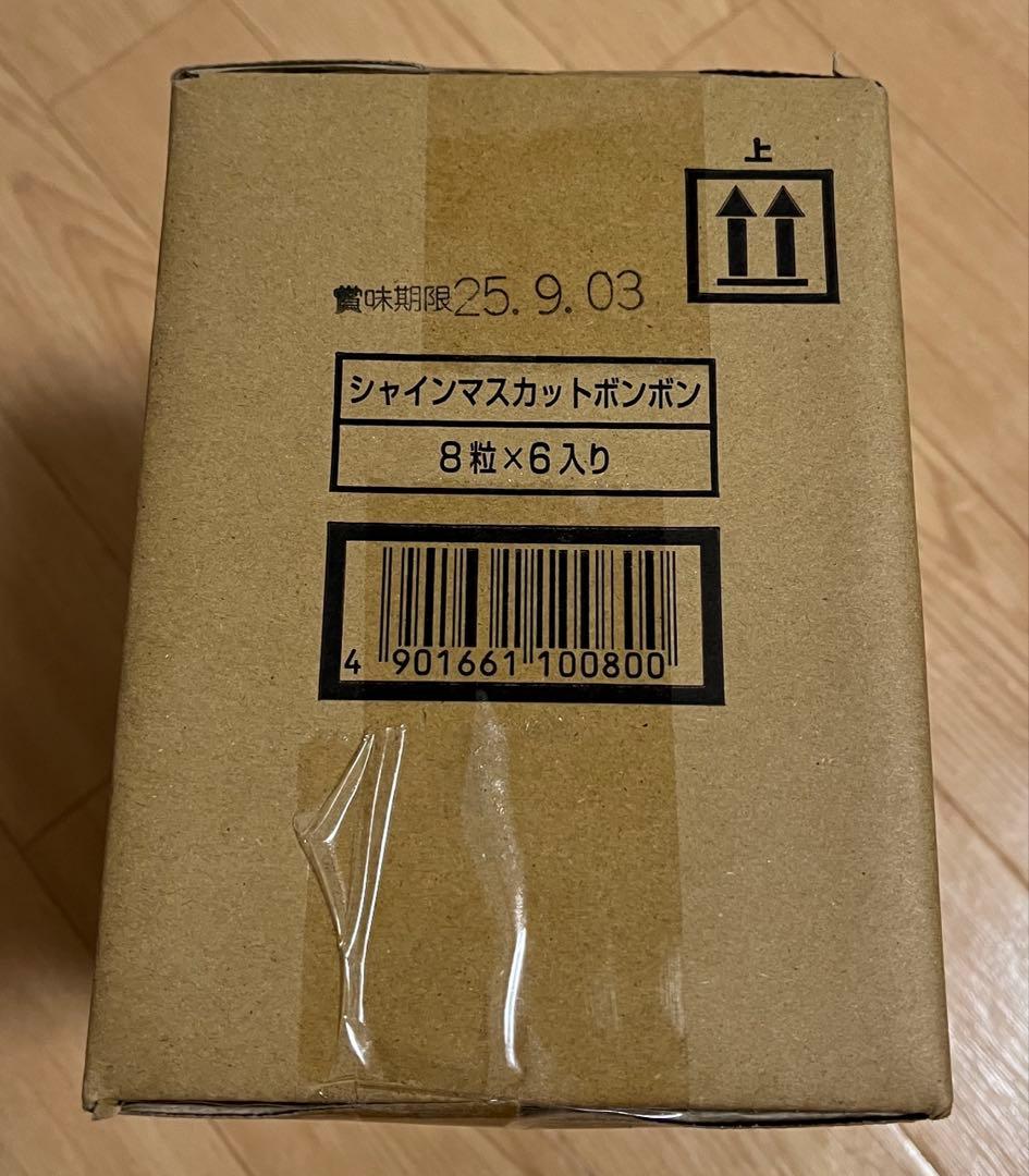 シャインマスカットボンボン8粒入り6袋（1ロット）