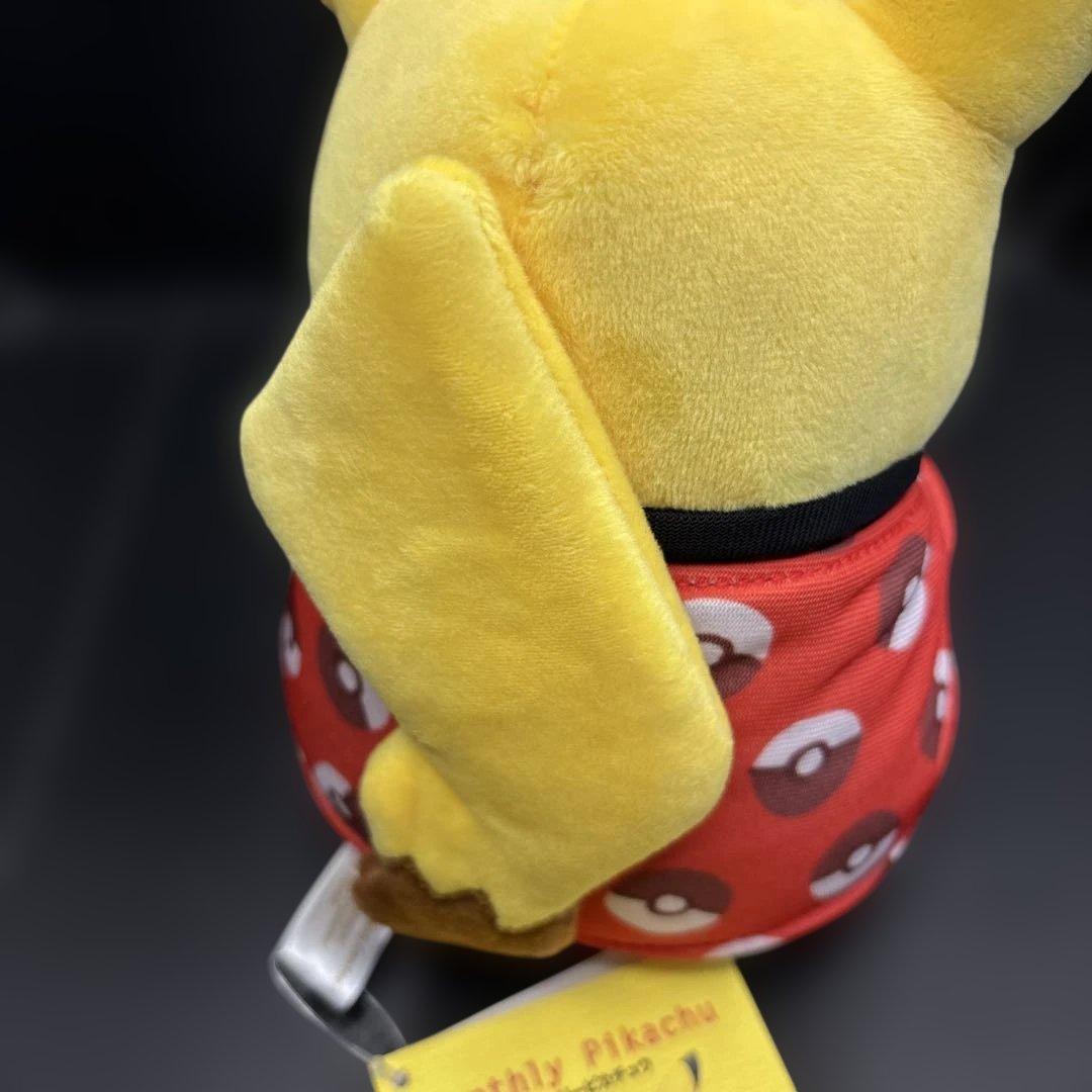 ポケモン　ぬいぐるみ　マンスリーピカチュウ　12月 2015年