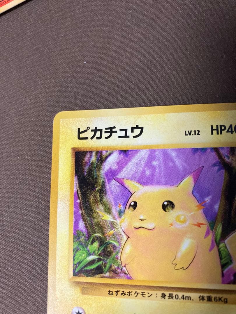 ポケモンカード旧裏　ピカチュウ　フシギダネマーク