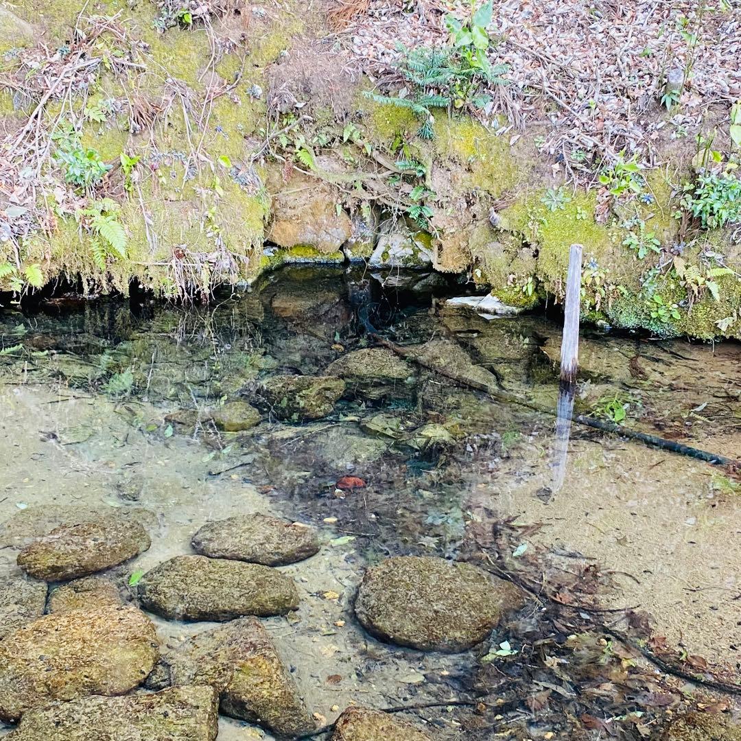 10キロ　クレソン　みかん2箱分　常温発送