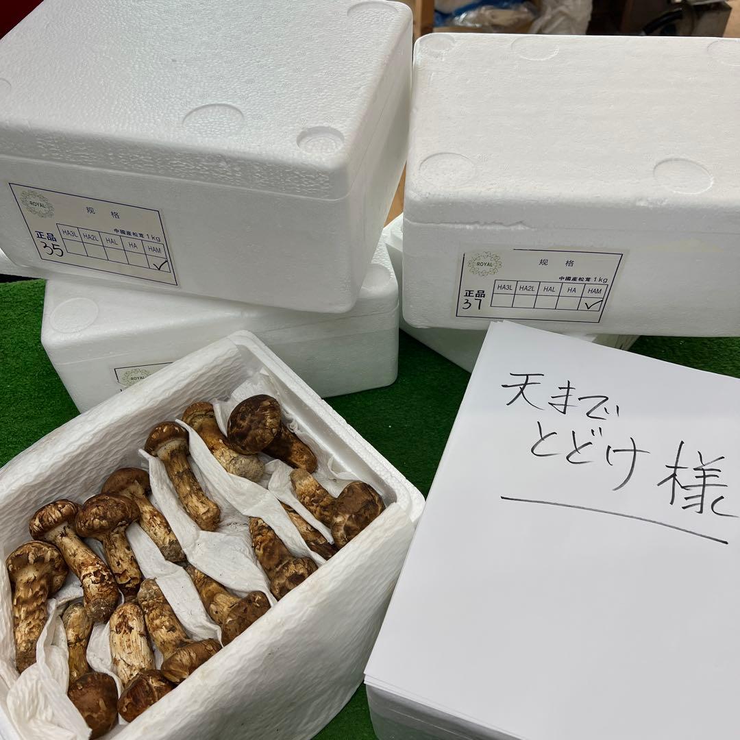 天までとどけ様用 超新鮮中国産松茸