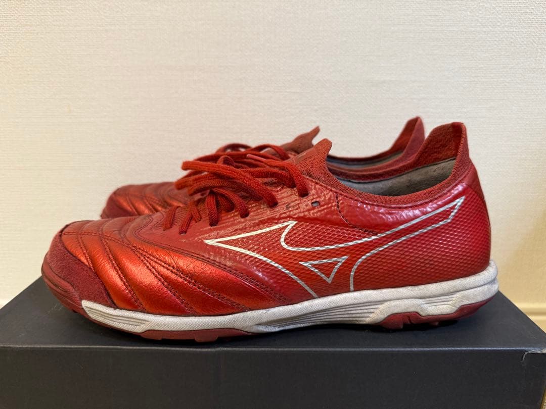 MORELIA NEO SALA β JAPAN TF
