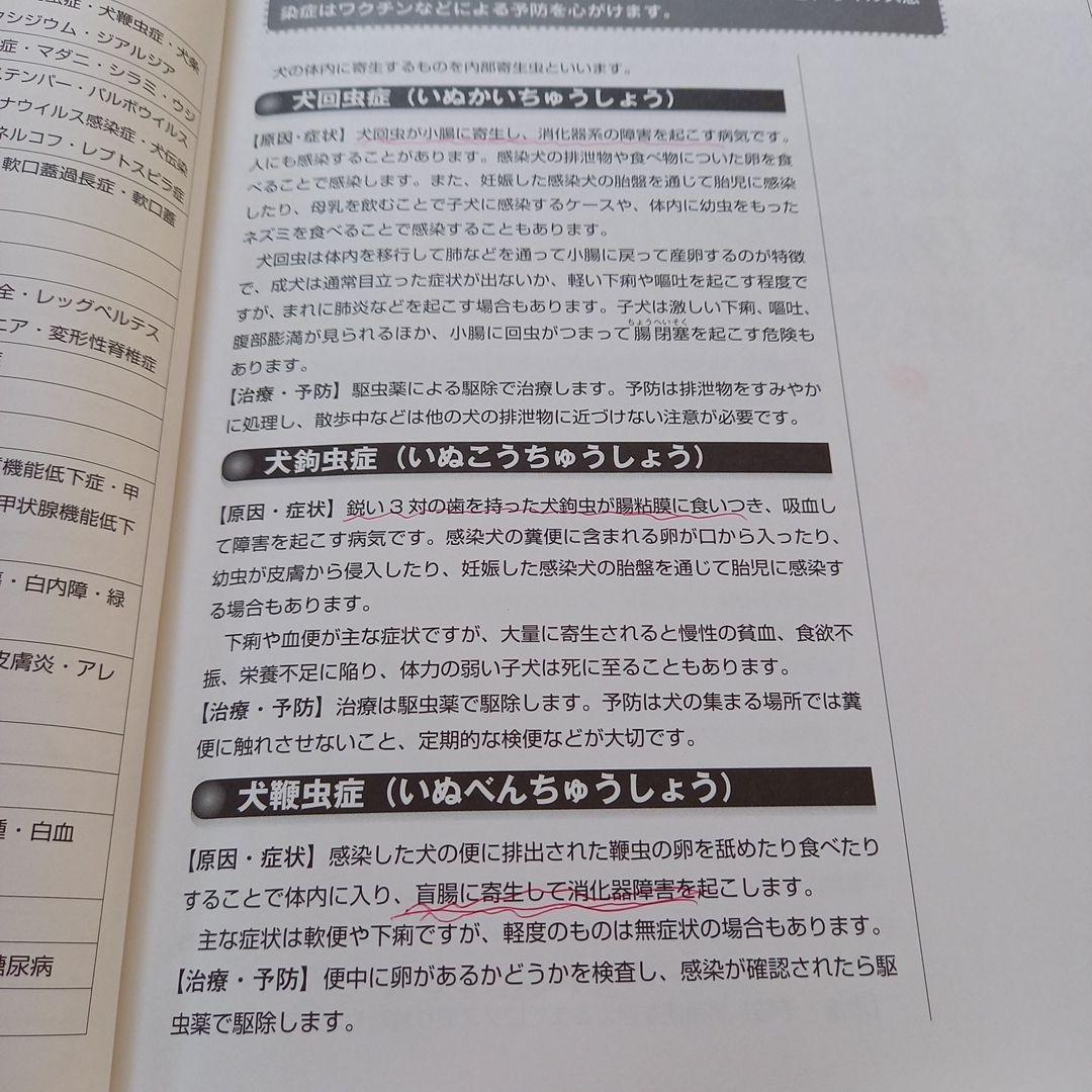 ペット介護士養成講座 DVDと書籍セット