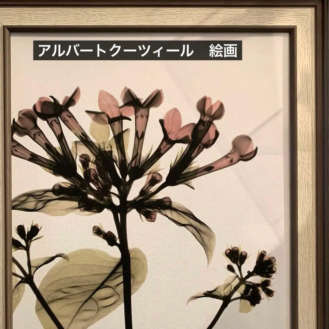 ☆未使用品☆アルバートクーツィール 植物のシルエットアート　絵 雑貨 OP-4