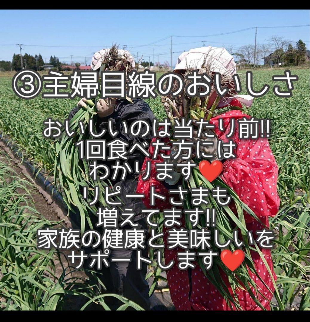 も*と様 青森県産ニンニク小玉10キロ以上!在庫処分セール青森県産にんにく訳あり