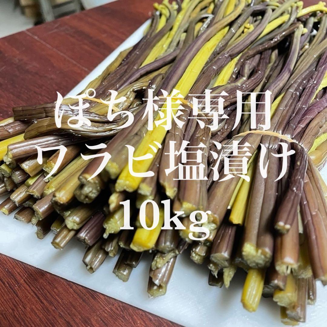 ぽち　アク抜きワラビ塩漬け 10kg(1kg×10袋)塩蔵 わらび 山菜