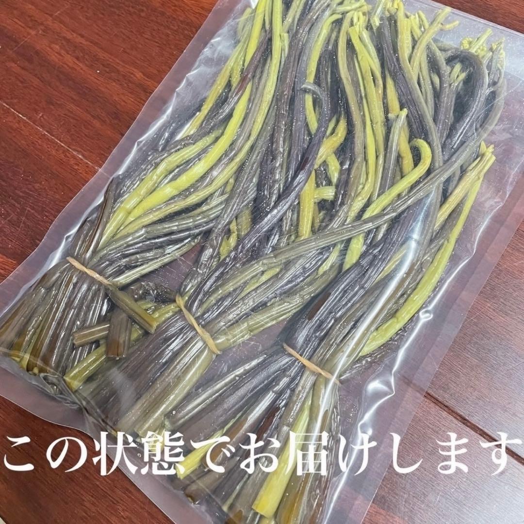 ぽち　アク抜きワラビ塩漬け 10kg(1kg×10袋)塩蔵 わらび 山菜