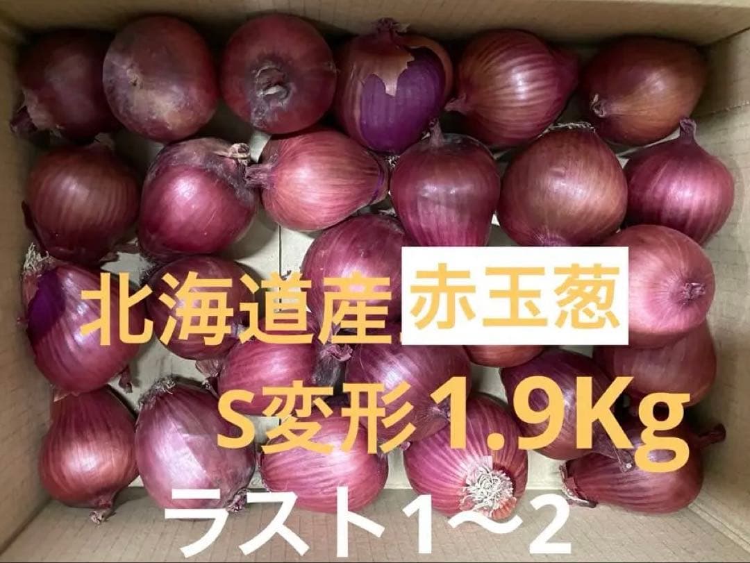 農家直送北海道産赤玉葱Ｓ変形1.9Kg ラスト1〜2