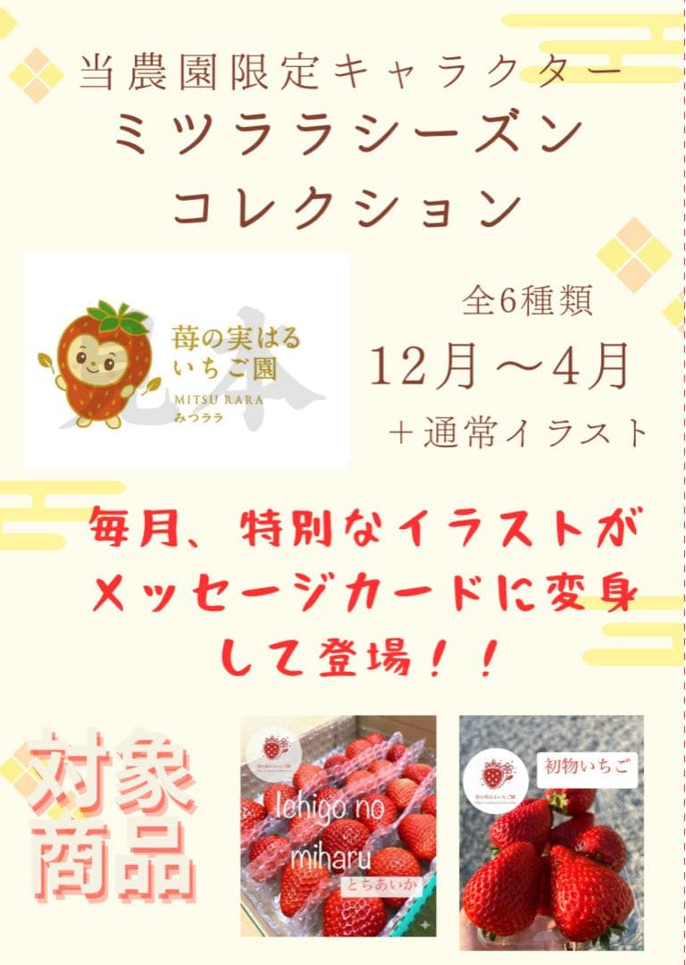【A品】栃木県産とちあいか　【ミツララいちご】 農家直送 3箱マロン