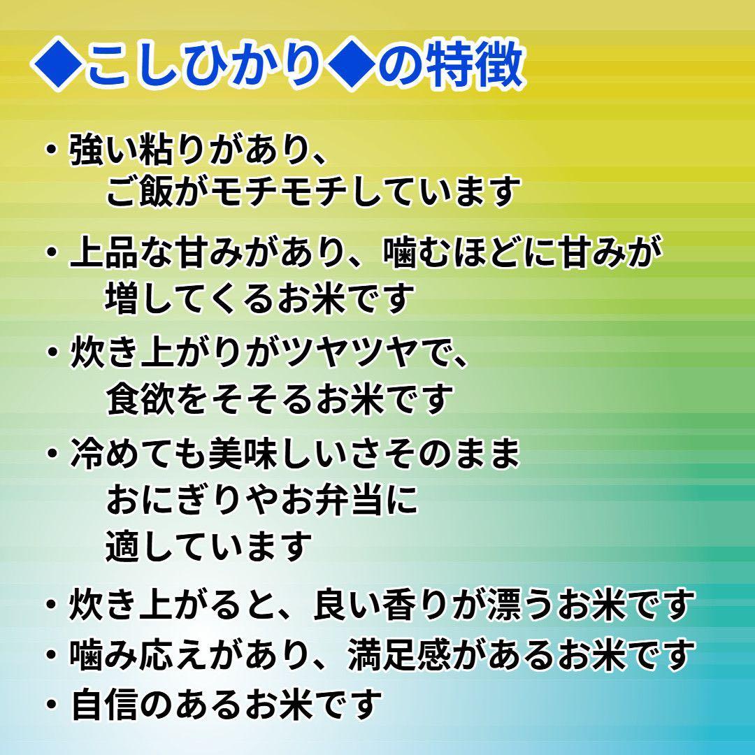 【白米】【精米】広島県産こしひかり20kg(5kgx4袋)