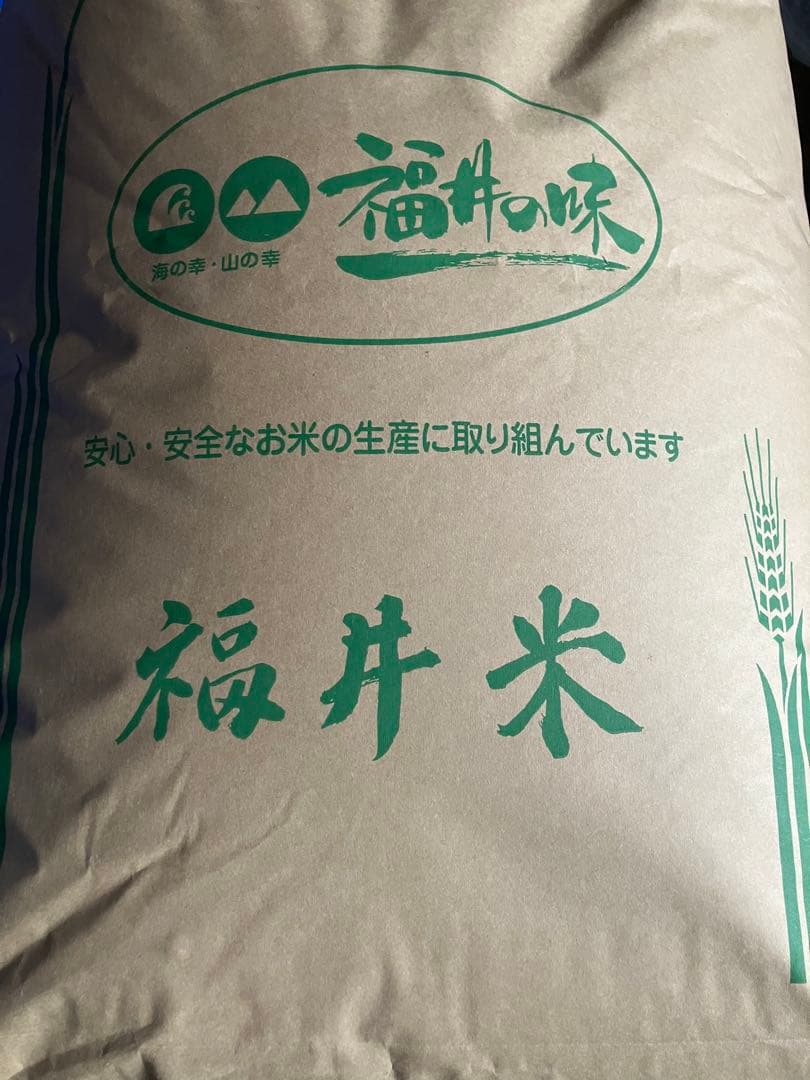 福井米 令和7年産 30kg コシヒカリ