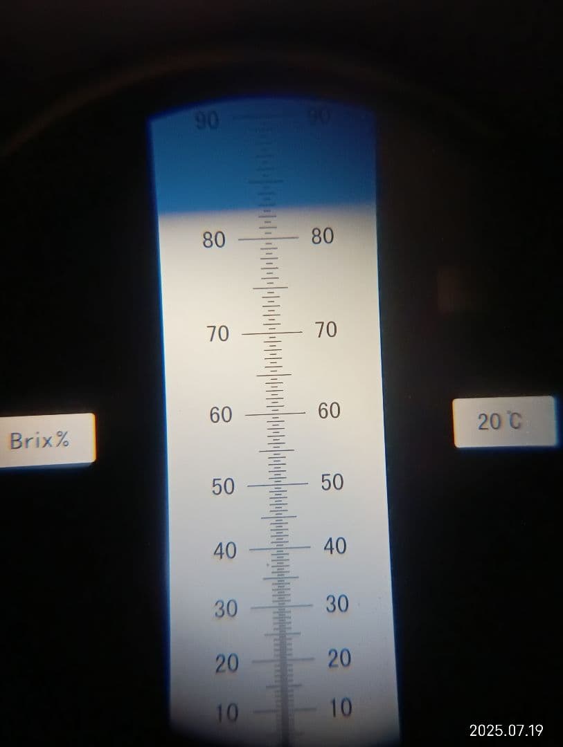 ｎ…です。　　ニホンミツバチの百花蜜　国産天然ハチミツ　580グラム　2本