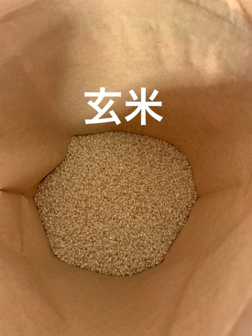 令和7年度産　新米ヒノヒカリ　10kg(玄米)送料込