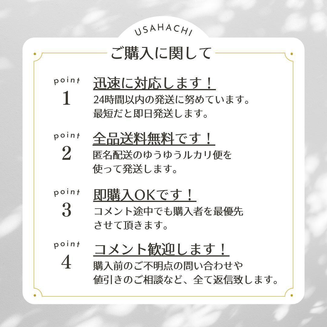 ミニチュアシュナウザー アクリルキーホルダー キーチャーム バッグチャーム　E
