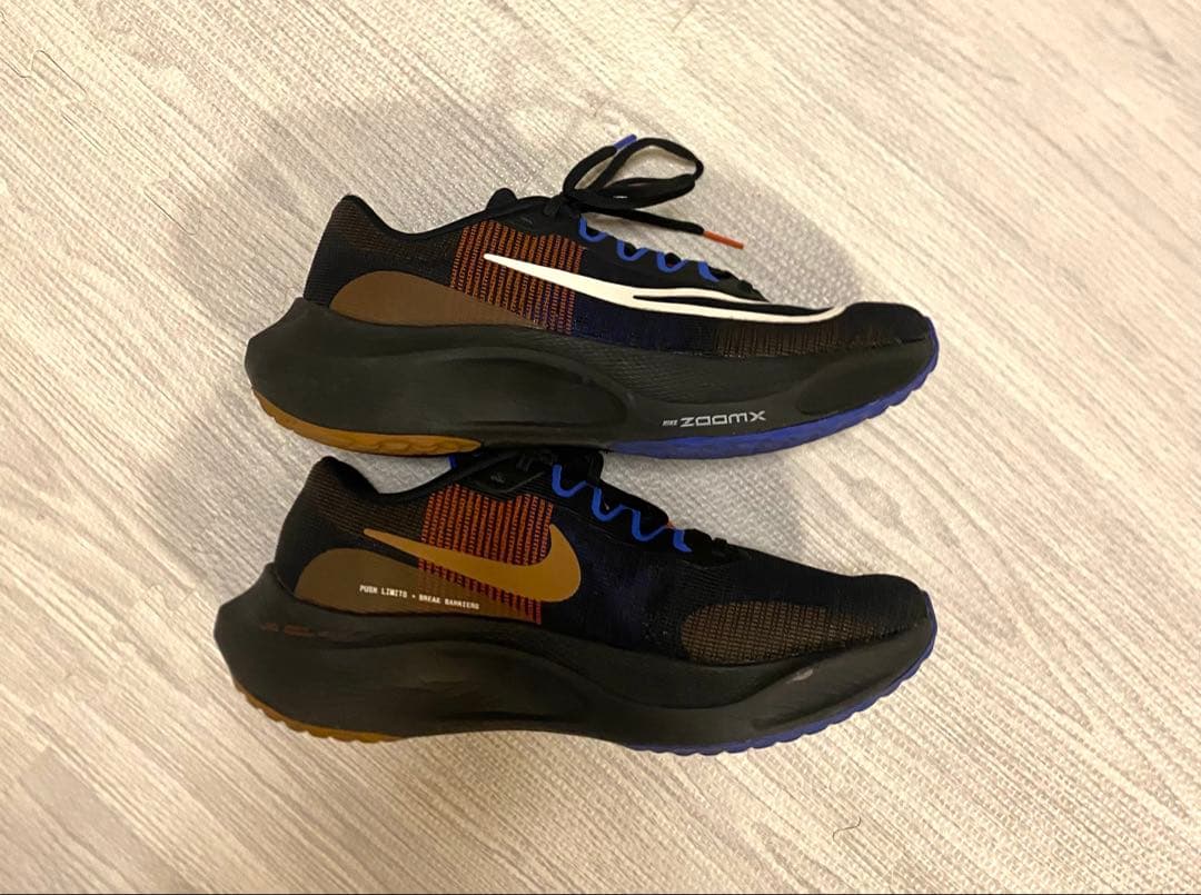 NIKE ZOOM FLY 5 A.I.R. HOLA LOU ズームフライ5