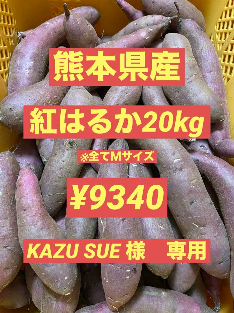 紅はるか 20kg