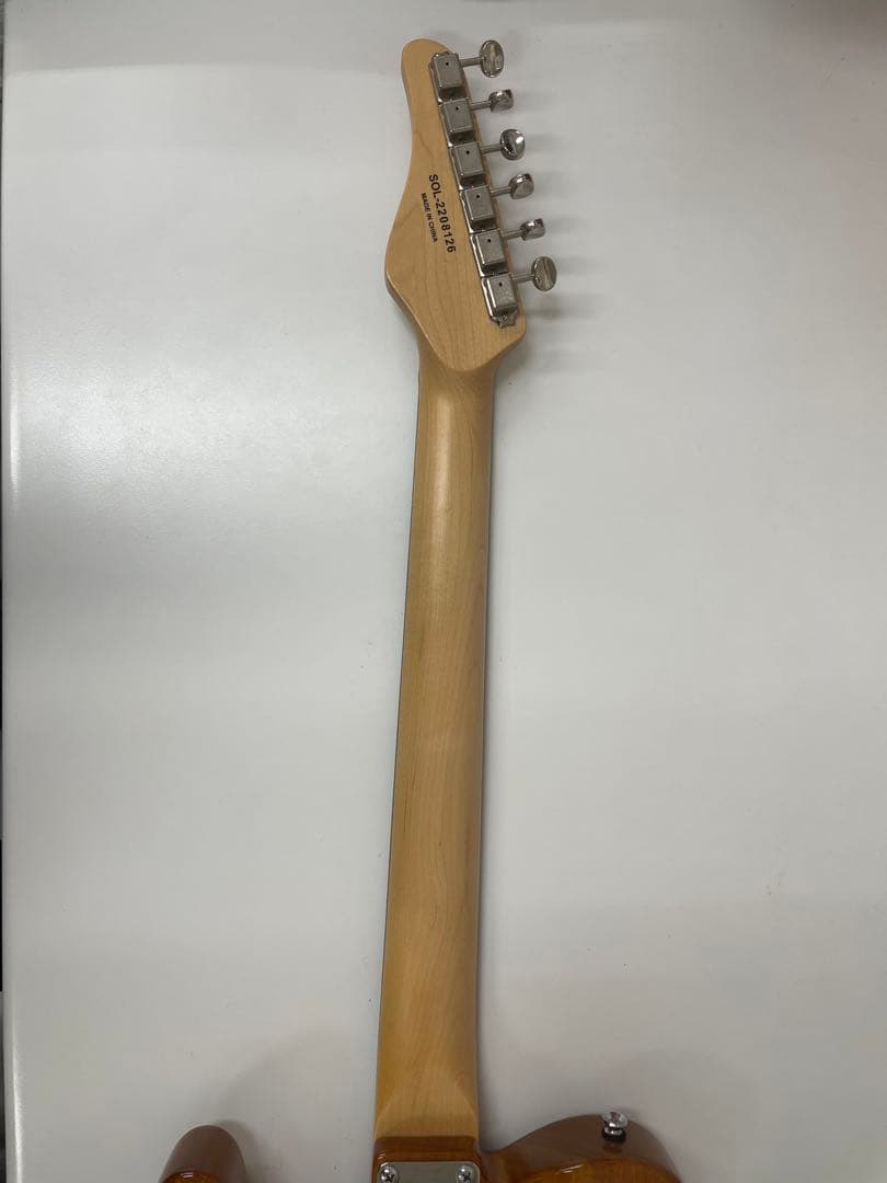 限定生産モデル Schecter OL-PT-TH ホロウボディ