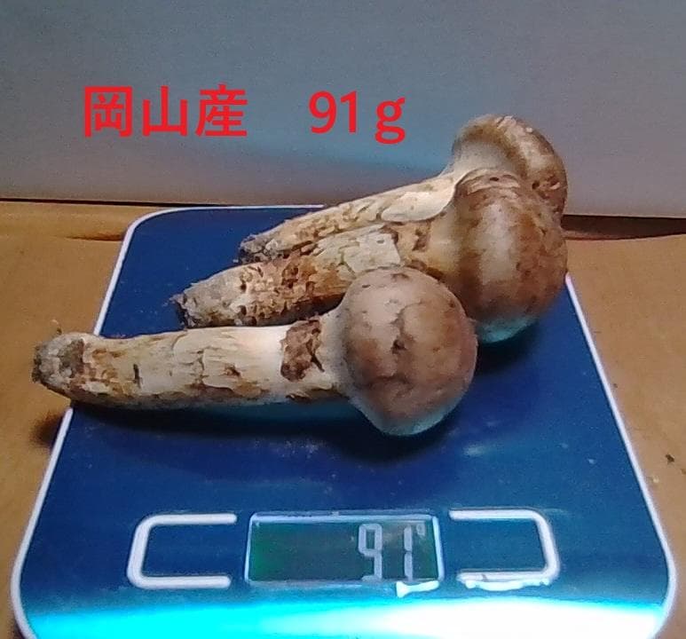 松茸　９１ｇ