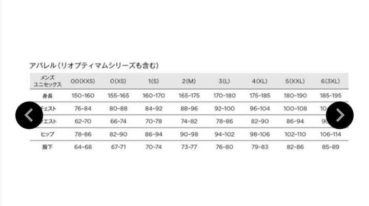 GOLDWIN スキーウェア