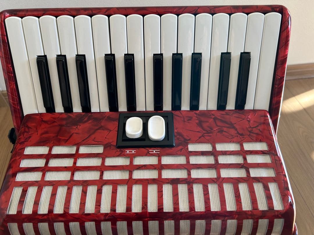 HOHNER ホーナー STUDENT 48 アコーディオン ハードケース付属