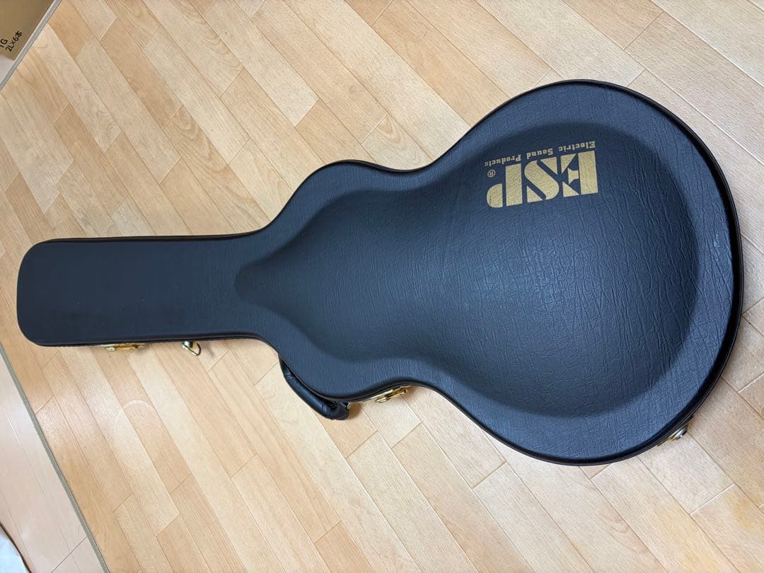 【希少、美品】ESP potbelly TR 専用ハードケース付き