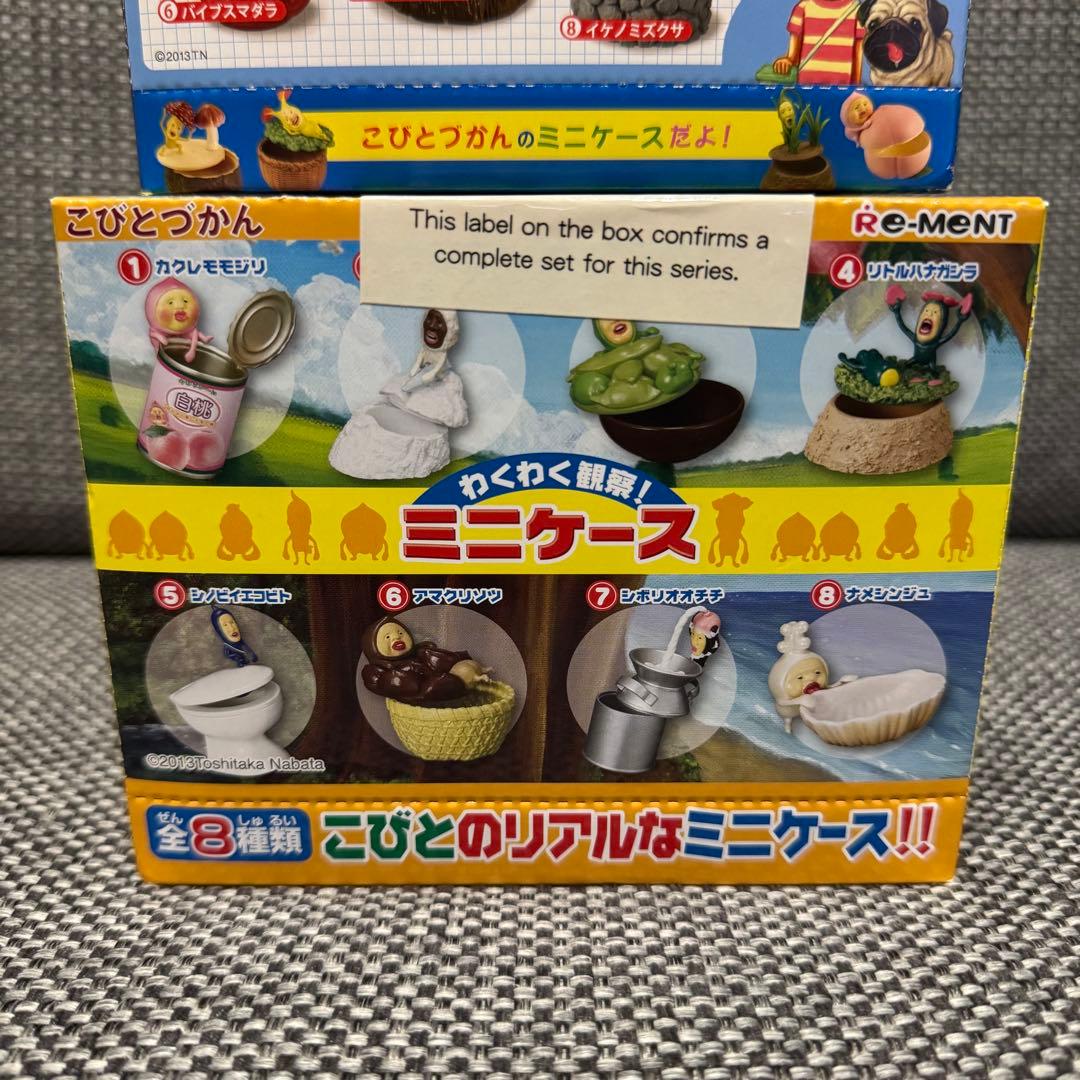 未開封 こびとづかん ミニケース 1弾2弾コンプリートセット