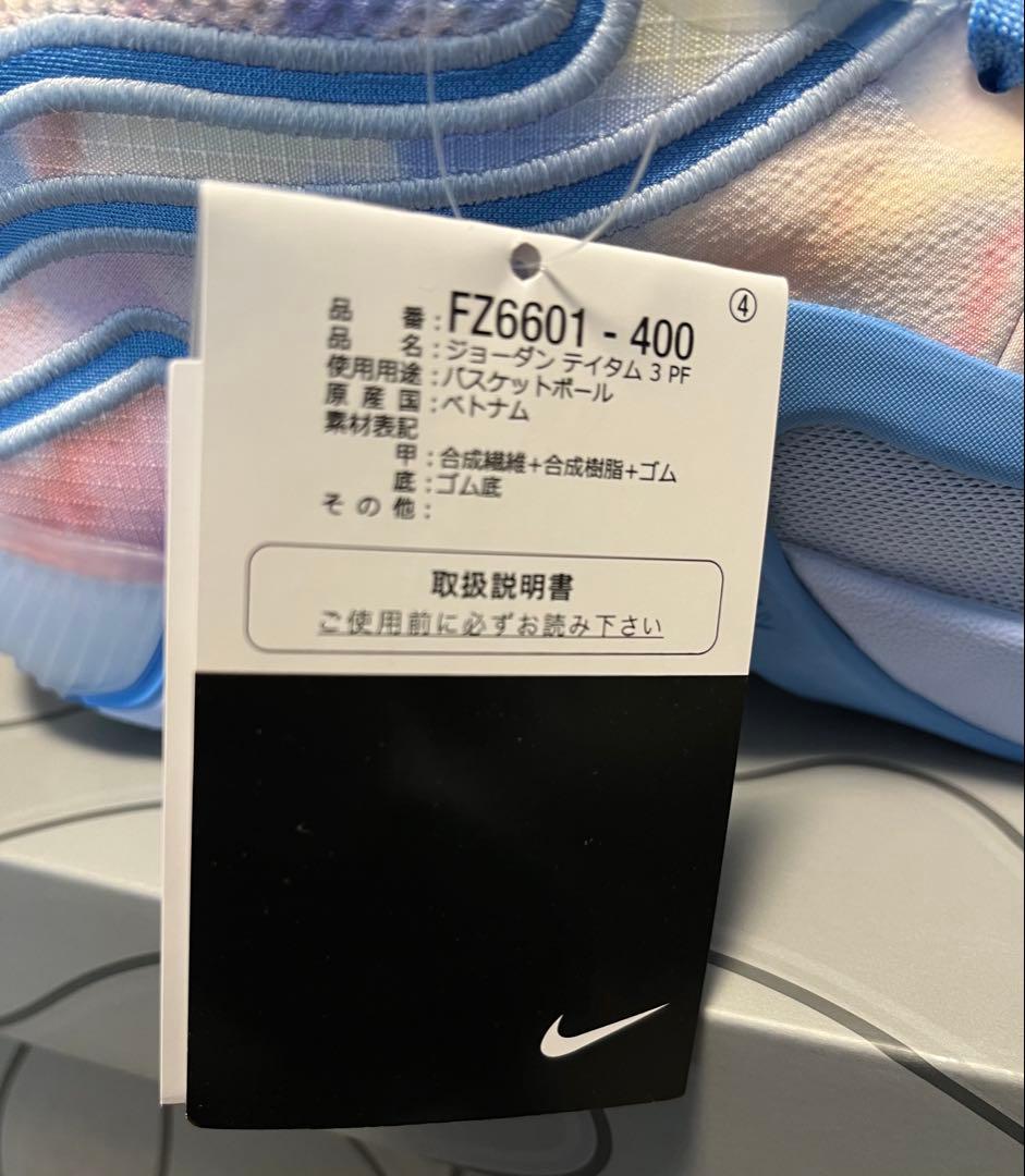 Nike Jordan Tatum3 Blue ナイキ テイタム3 29.5cm