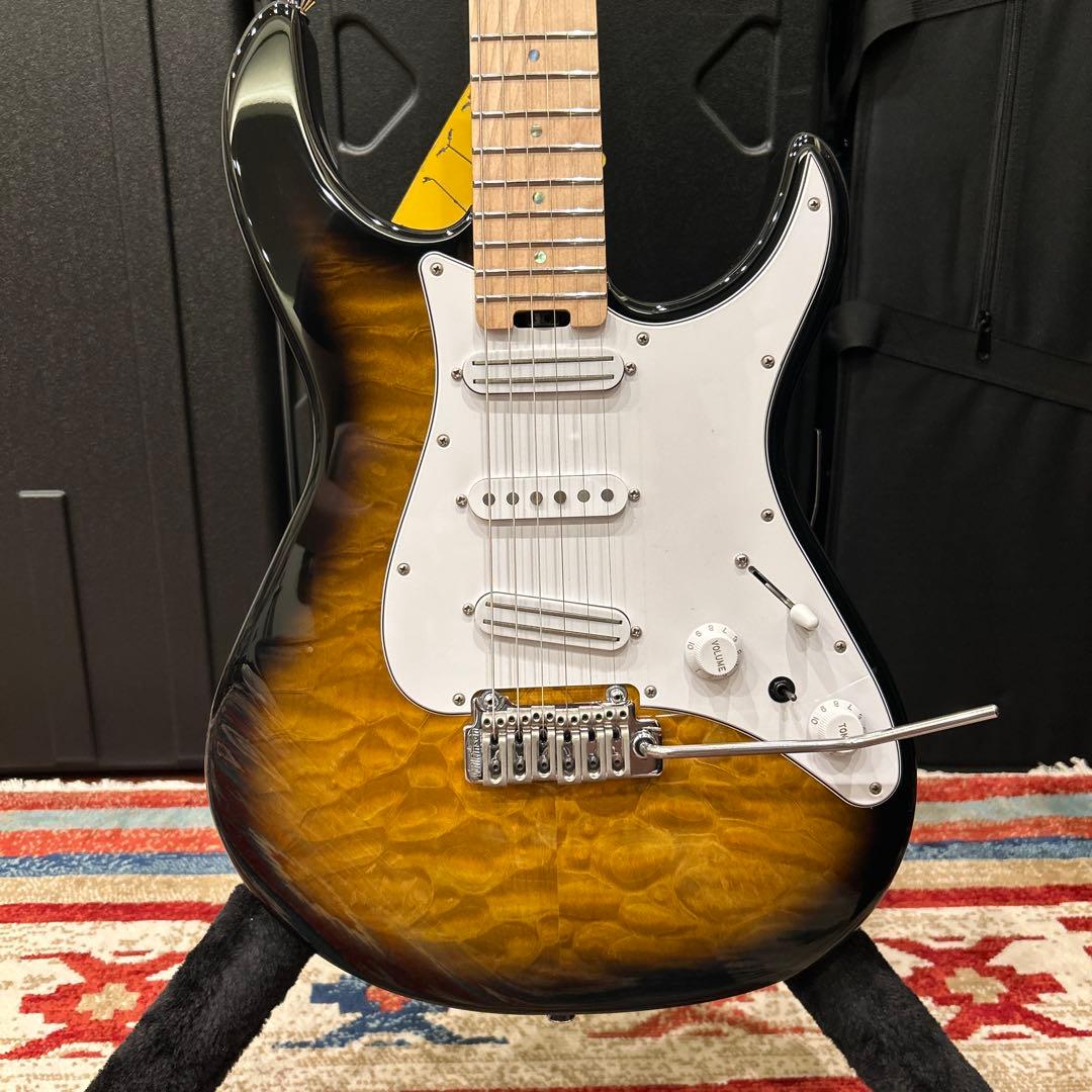 ギター FERNANDES RT-ELT 2SB