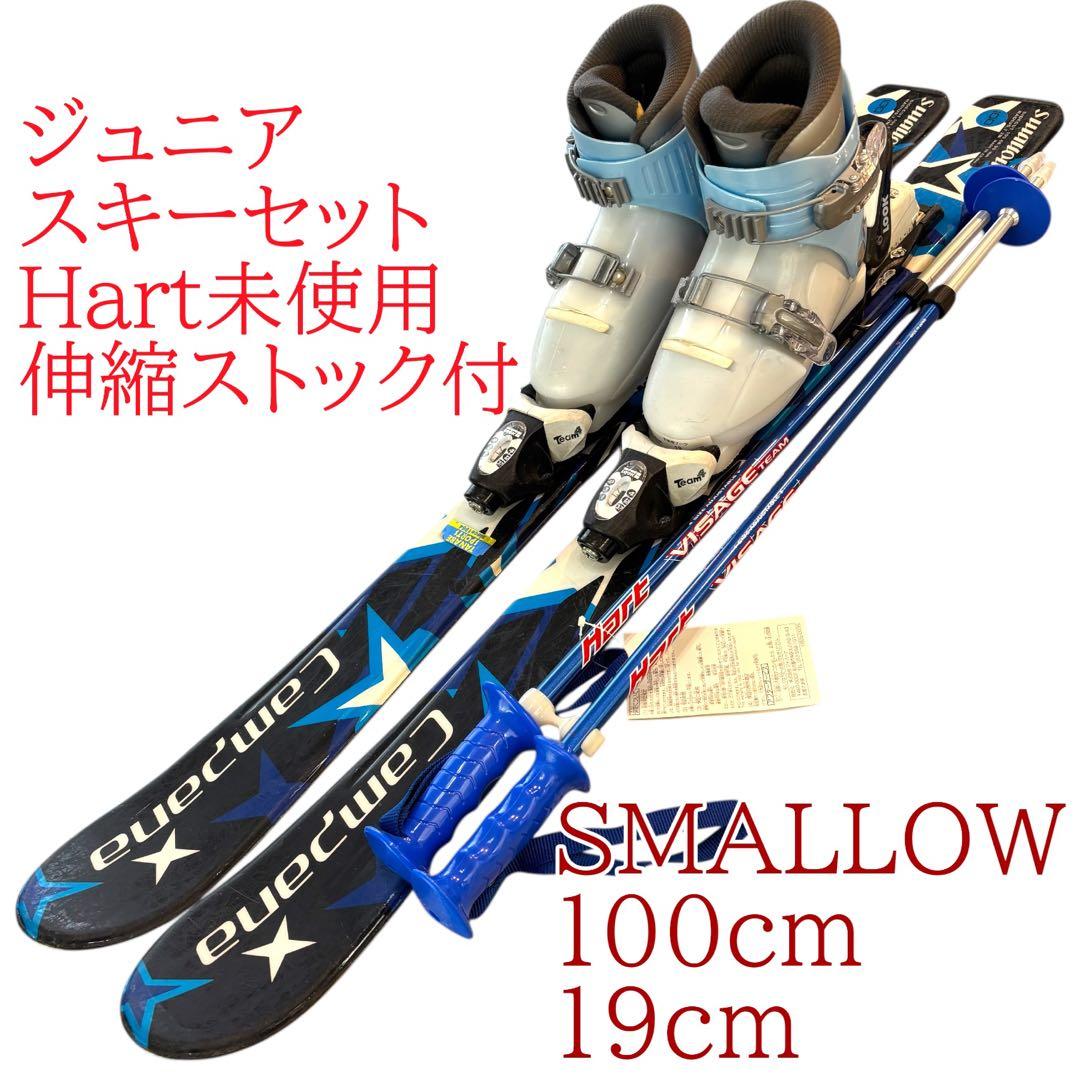 ジュニアスキーセット　SMALLOW 100cm 19cm未使用ストック付