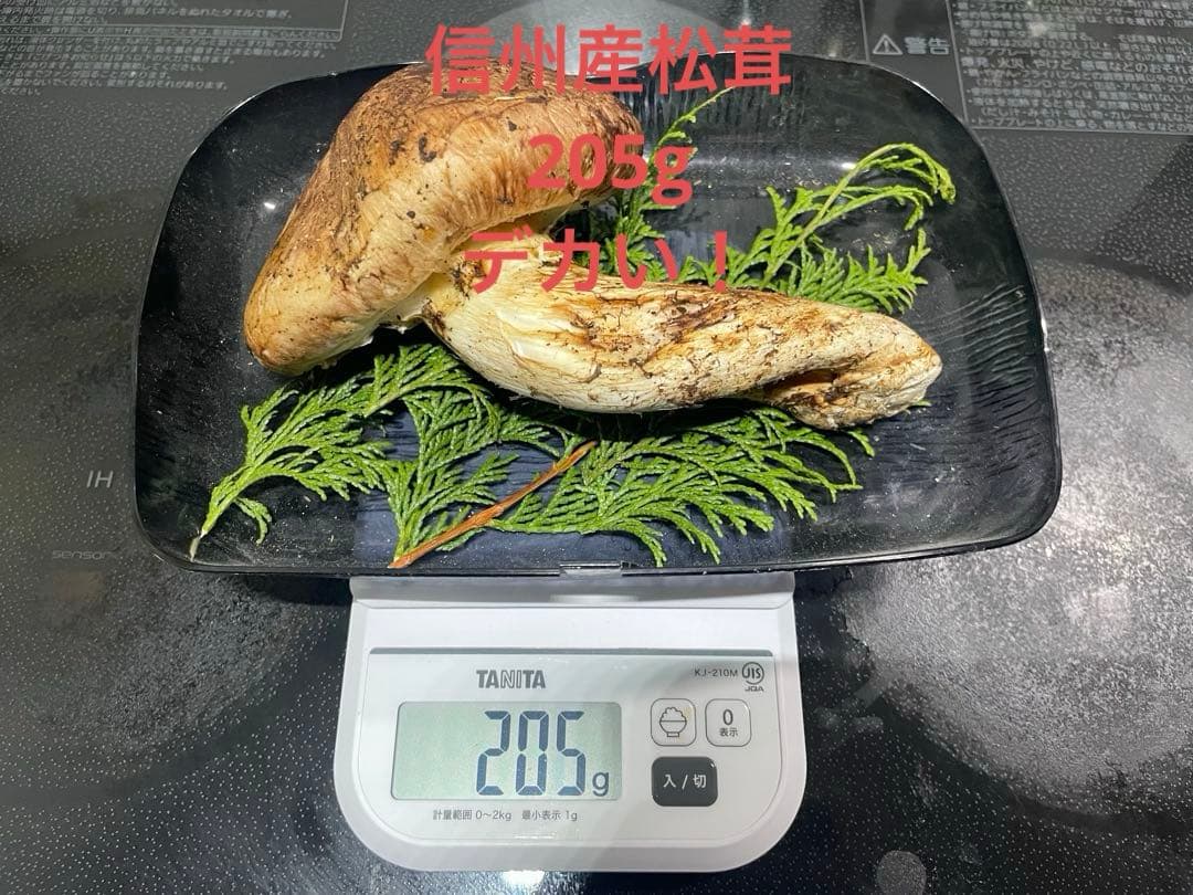 信州産松茸205g