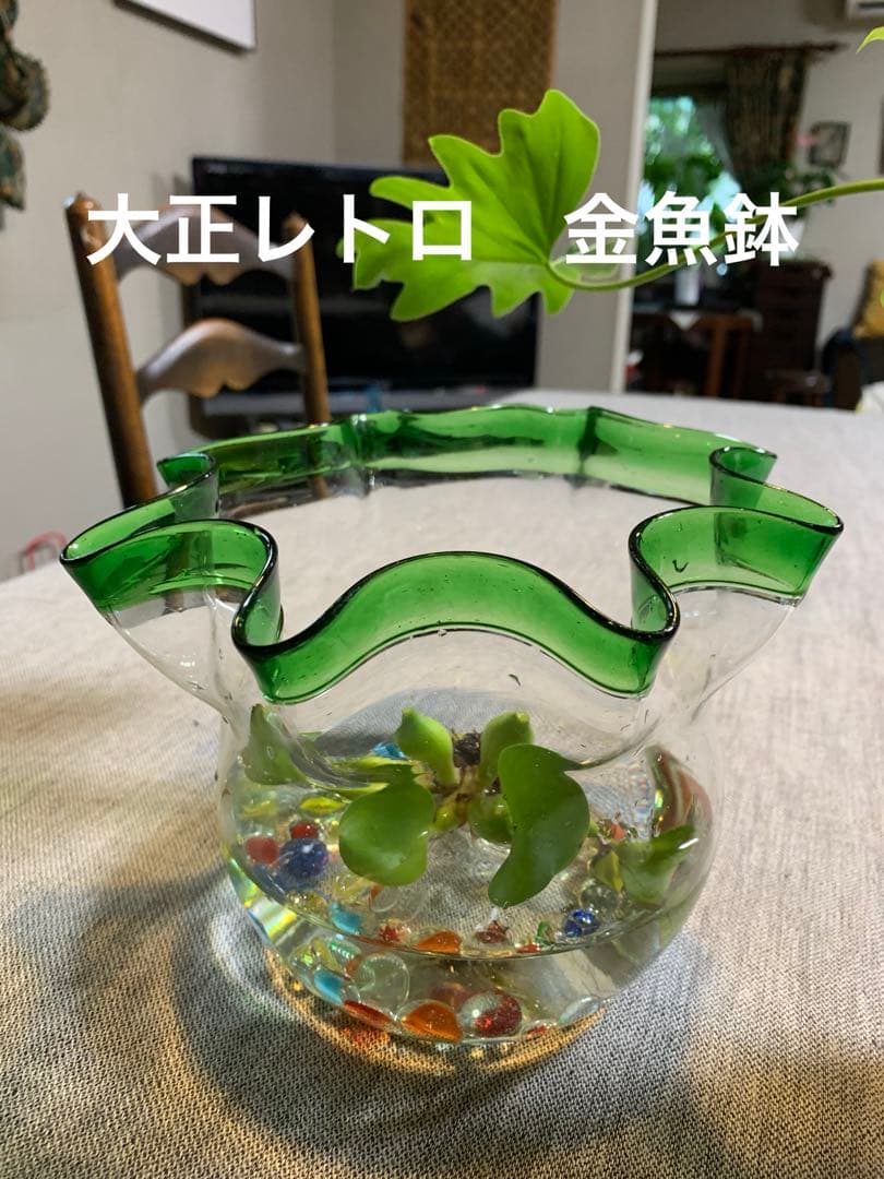 大正　レトロ　金魚鉢　美品　吹きガラス