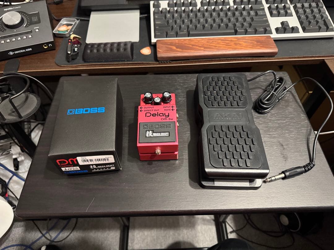 BOSS DM-2W エフェクター ディレイ+エクスプレッションペダル