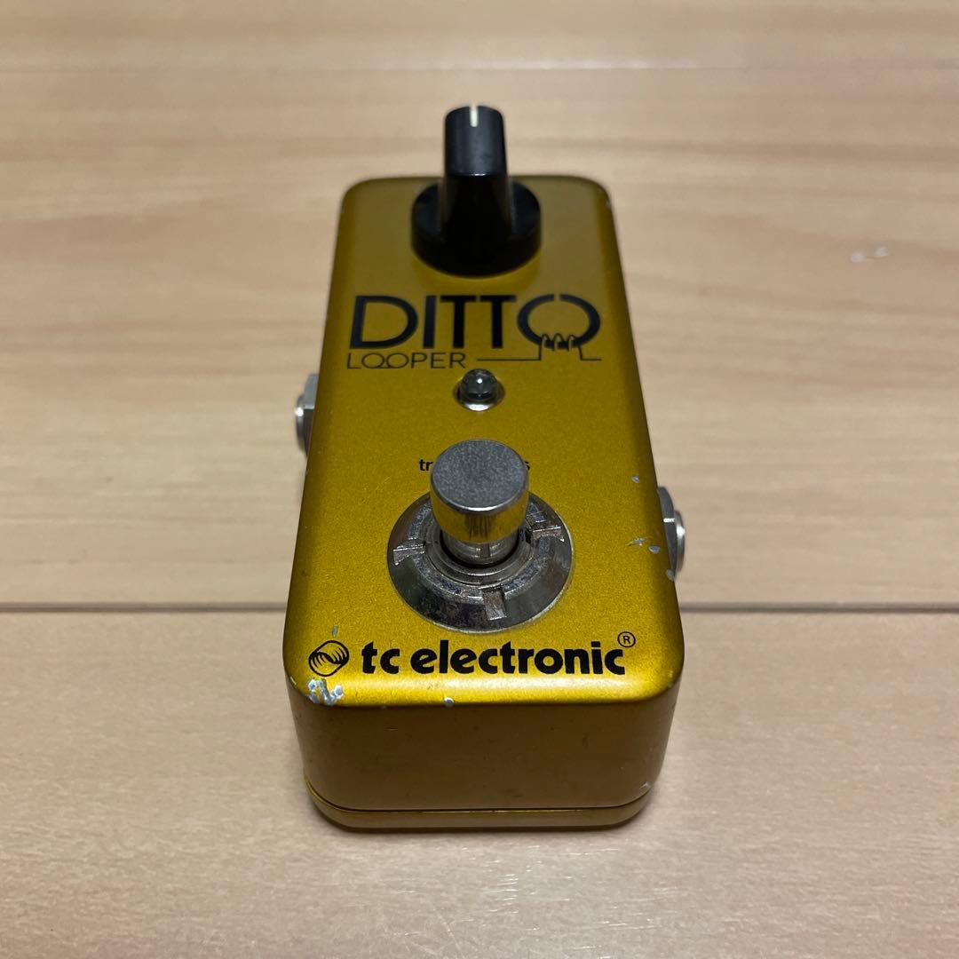 ギター TC ELECTRONIC Ditto Looper GOLD Limited