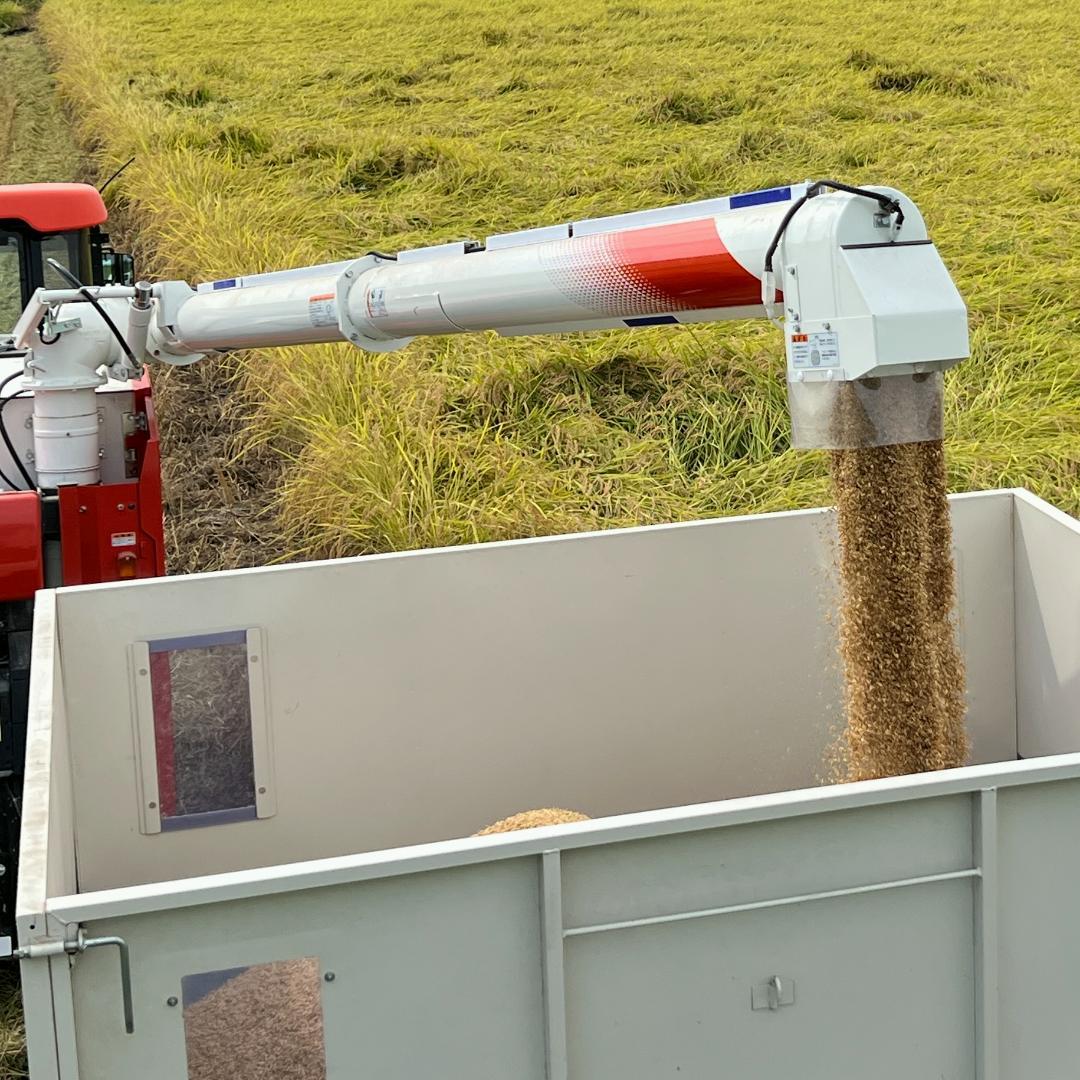 白米10kg◇令和７年産コシヒカリ白米10キロ◇栃木県産新米