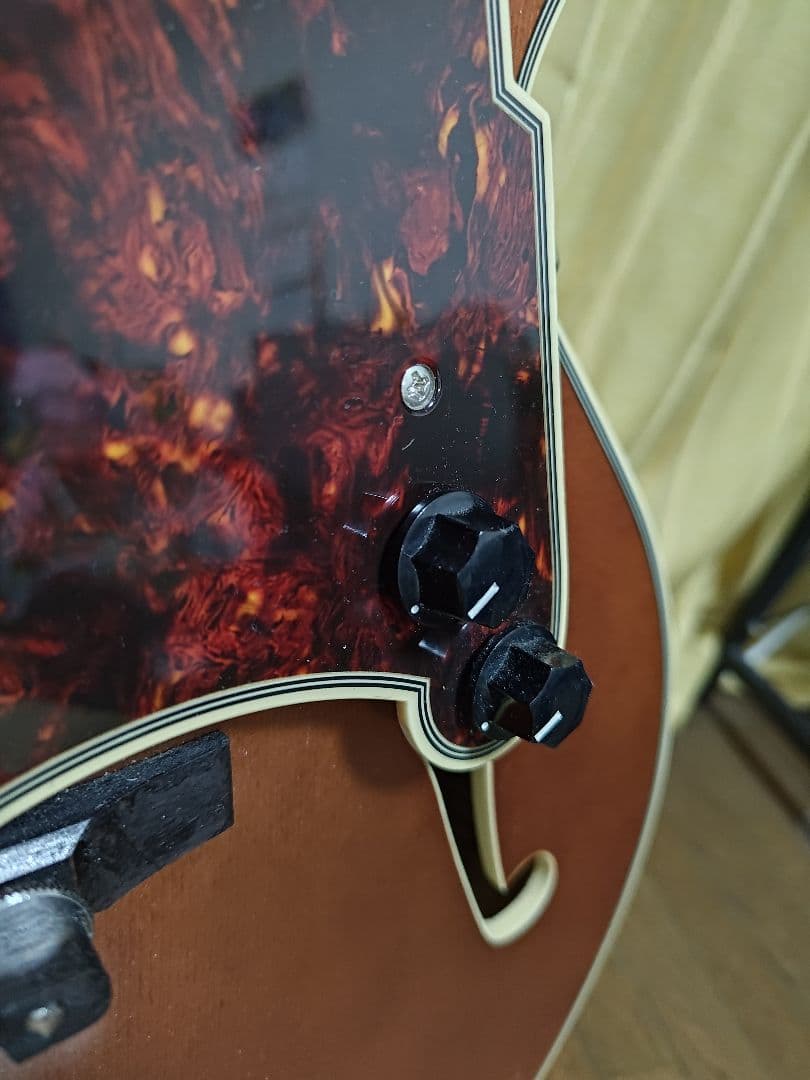 D'Angelico　ディアンジェリコ　Premier EXL-1 フルアコ