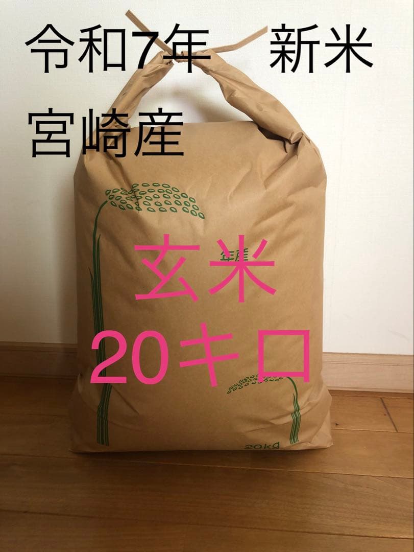 はるちゃん★⭐︎　令和7年宮崎県産 新米 玄米20キロ 夏の笑み