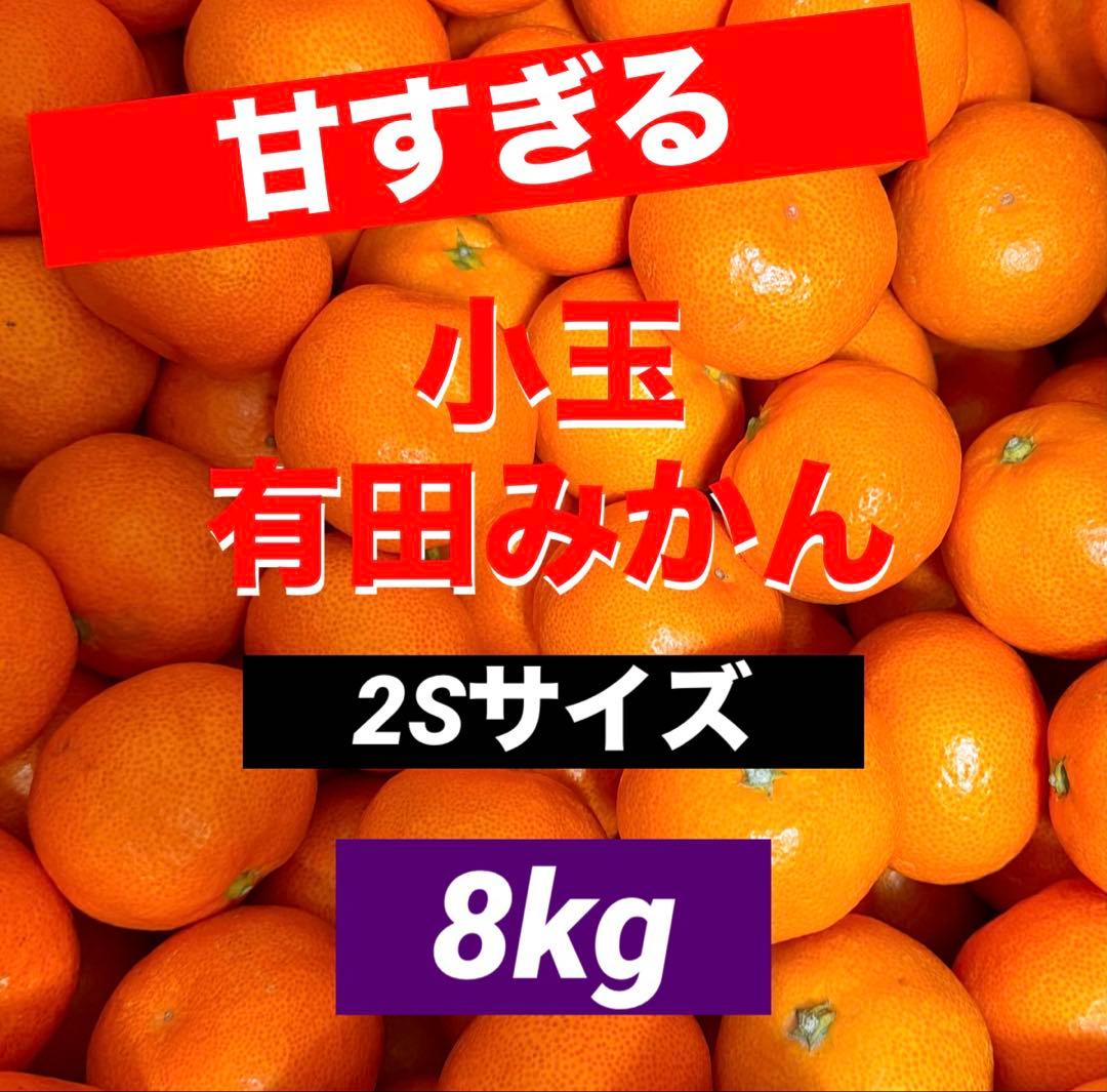 903)数量限定　甘すぎる　有田みかん　果物 　みかん　小玉　旬